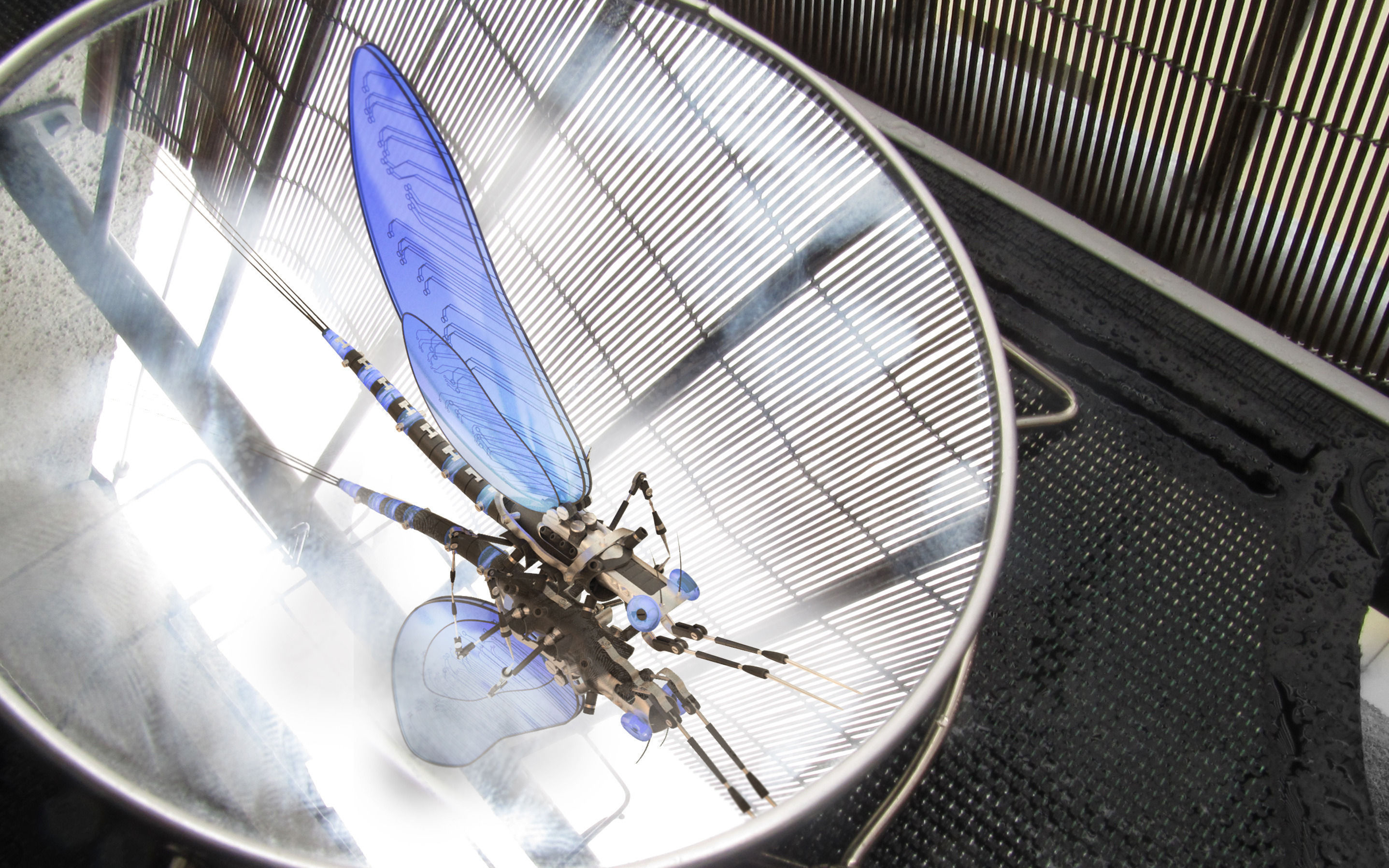 mechanical insect Ephemera Danica free 3D model | CGTrader