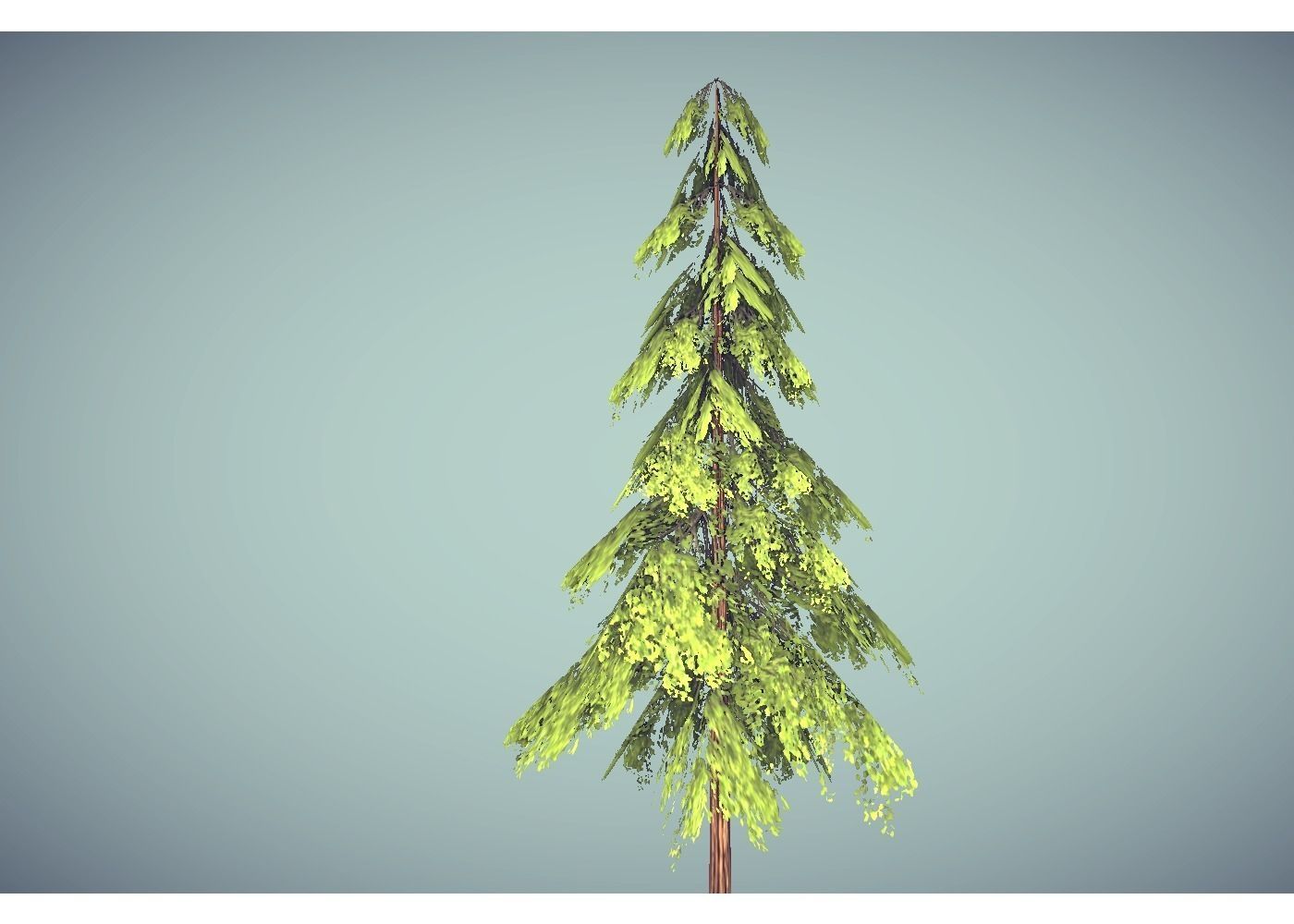 pine tree free 3D model | CGTrader