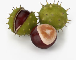 Chestnut 3D Models - CGTrader.com