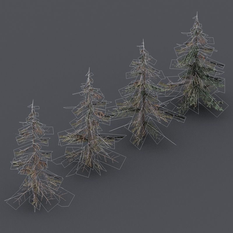 3D model Low poly Spruce Tree VR / AR / low-poly | CGTrader