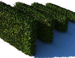 Hedge 3D Models | CGTrader