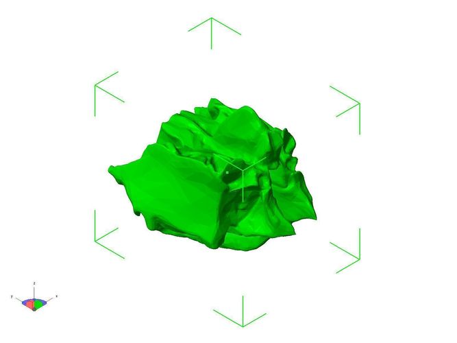 Ethmoid Bone of the Human Cranium free 3D Model 3D printable STL ...