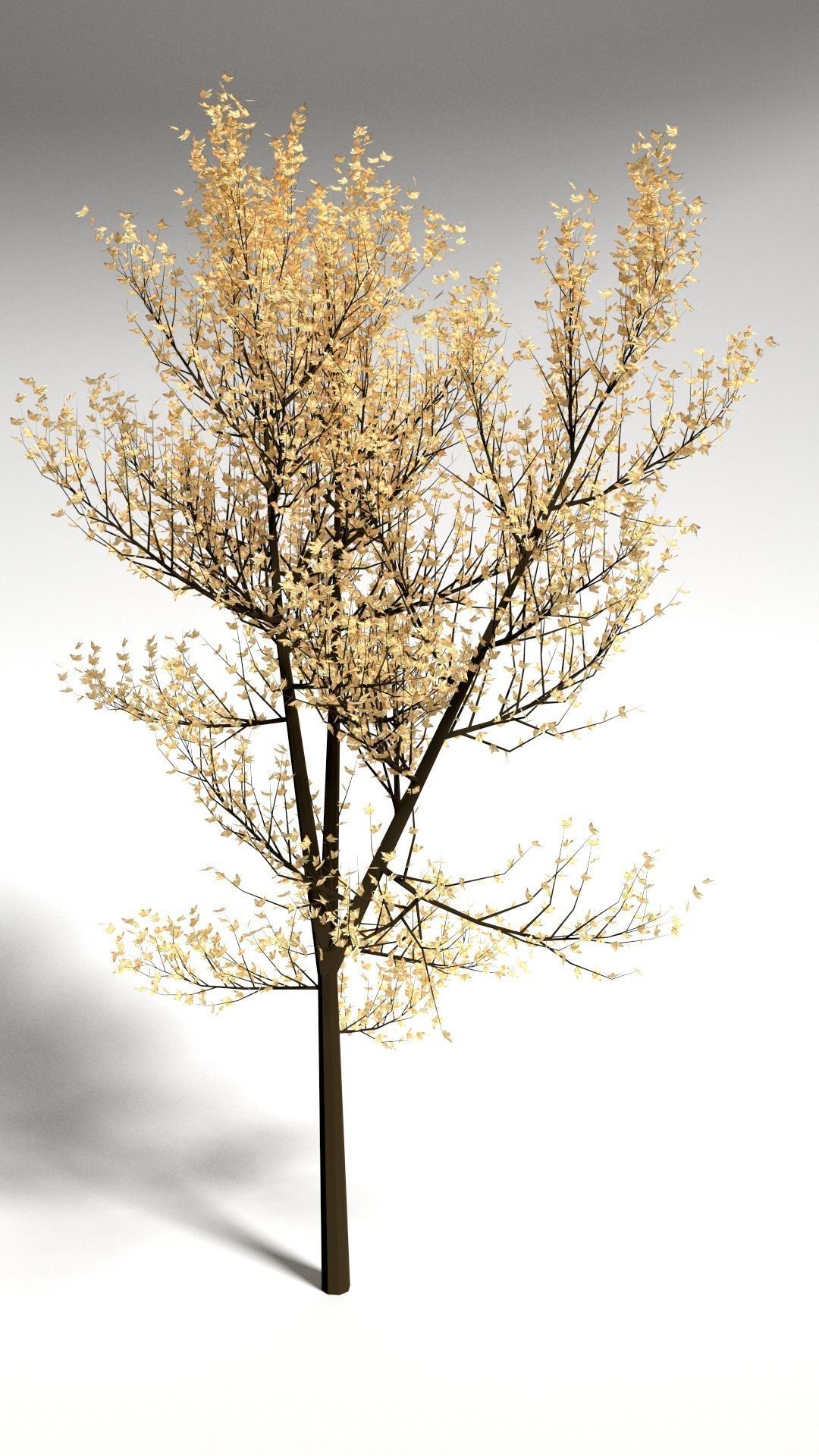 Realistic tree 3D model | CGTrader