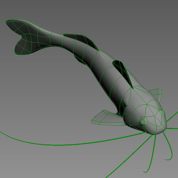 Catfish 2 3D model | CGTrader