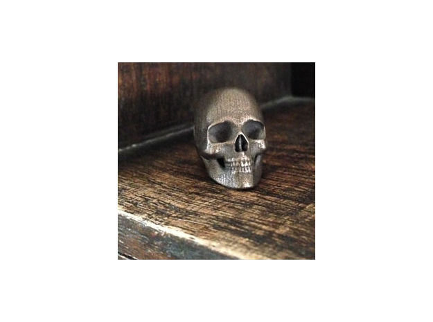 Xenomon Skull 3D model 3D printable | CGTrader