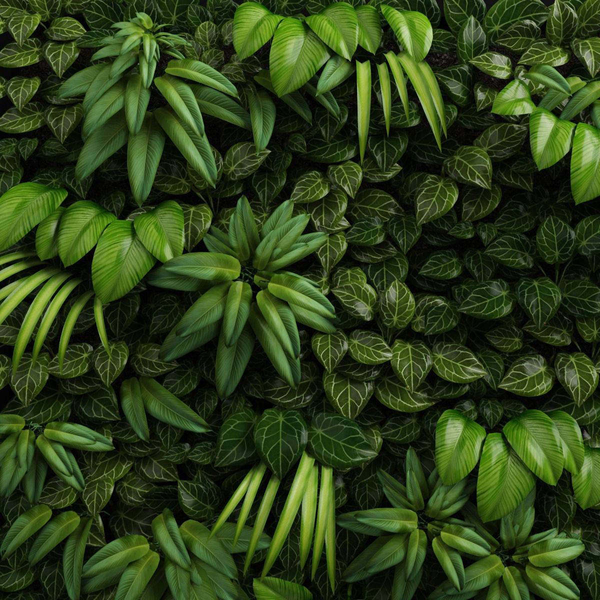 Green wall 3D model | CGTrader