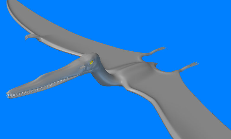 Gnathosaurus dinosaur flying 3D model | CGTrader