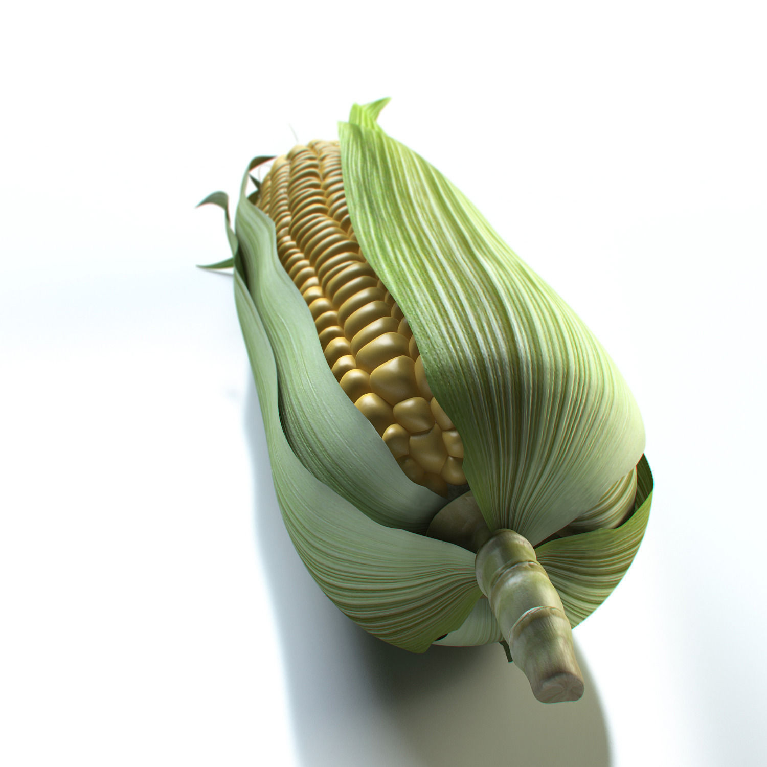 Realistic Corn 3D Model MAX OBJ 3DS FBX | CGTrader.com