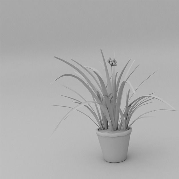 Small plant with pot free 3D model | CGTrader