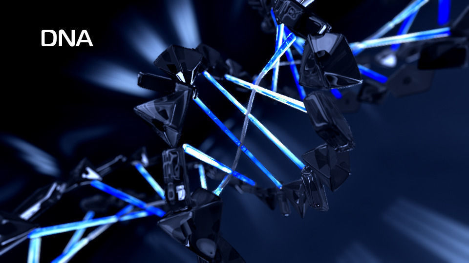 DNA animation 3d model 3D Model animated rigged .max - CGTrader.com