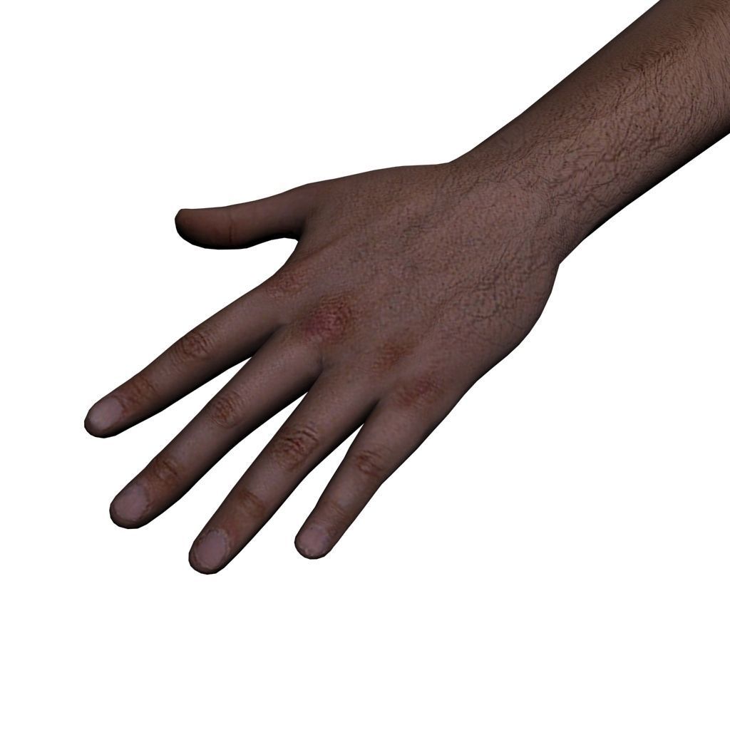 Human Hand 3D Model Game ready rigged .max - CGTrader.com