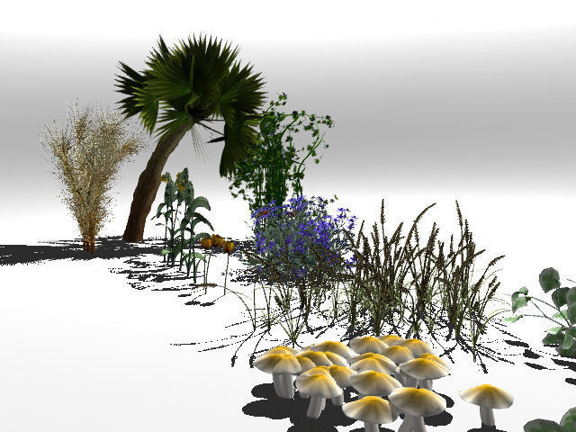 Nature Set plants and flowers 3D model | CGTrader