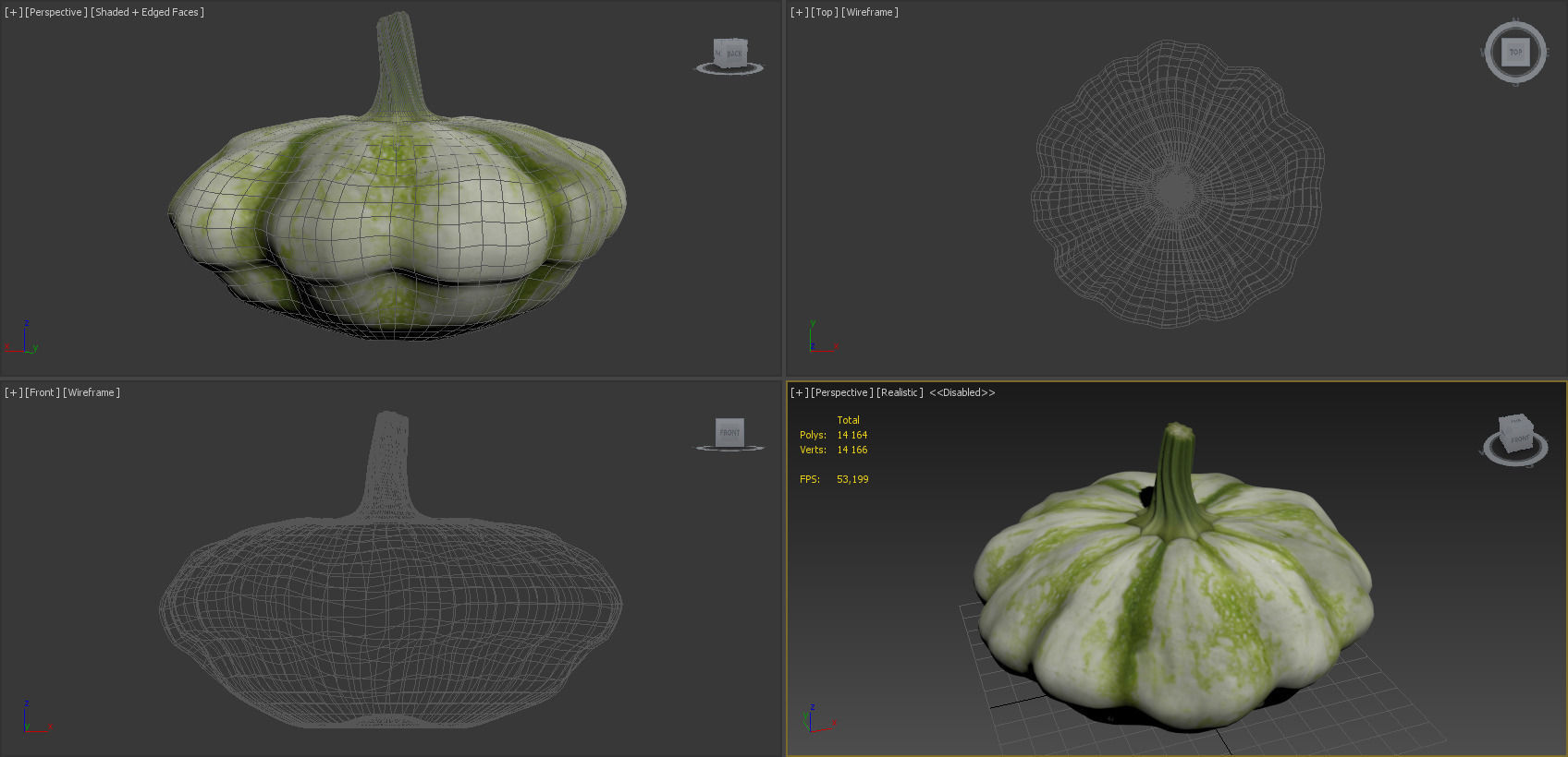 Squash 3D Model .max .obj .3ds .fbx .mat - CGTrader.com