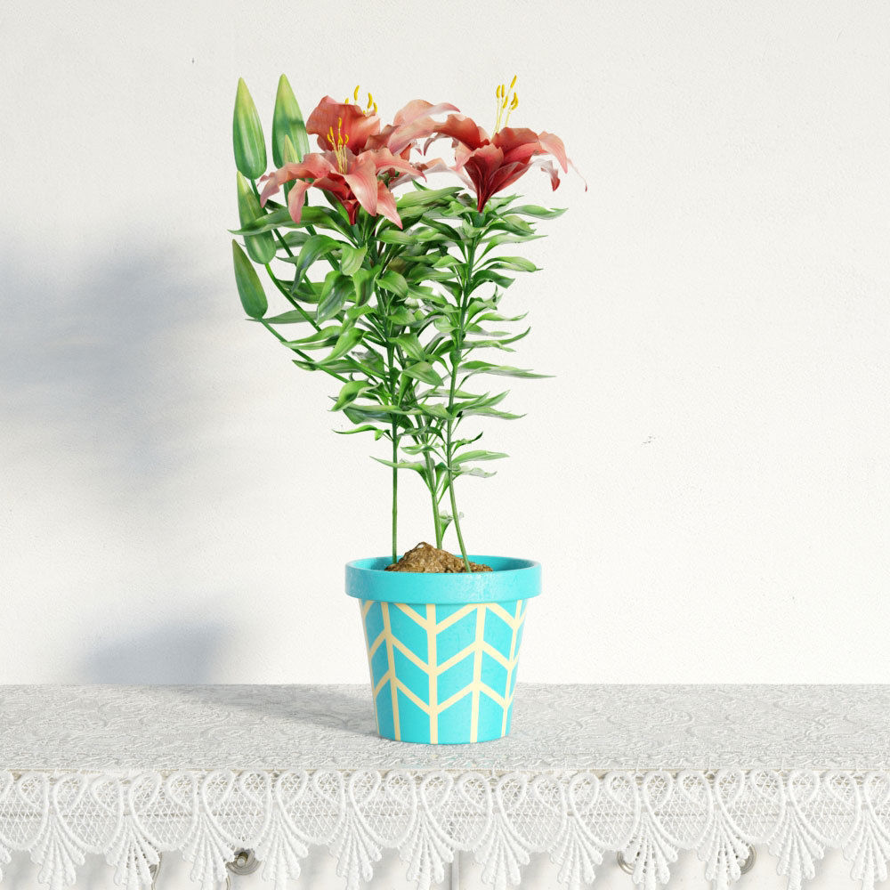 Archmodels vol 141 - high quality indoor plants 3D model | CGTrader