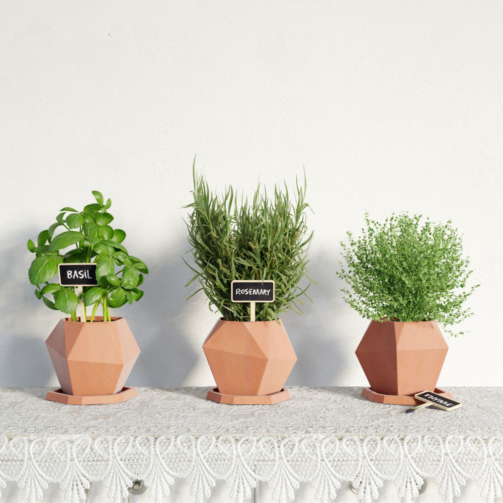 Archmodels vol 141 - high quality indoor plants 3D model | CGTrader