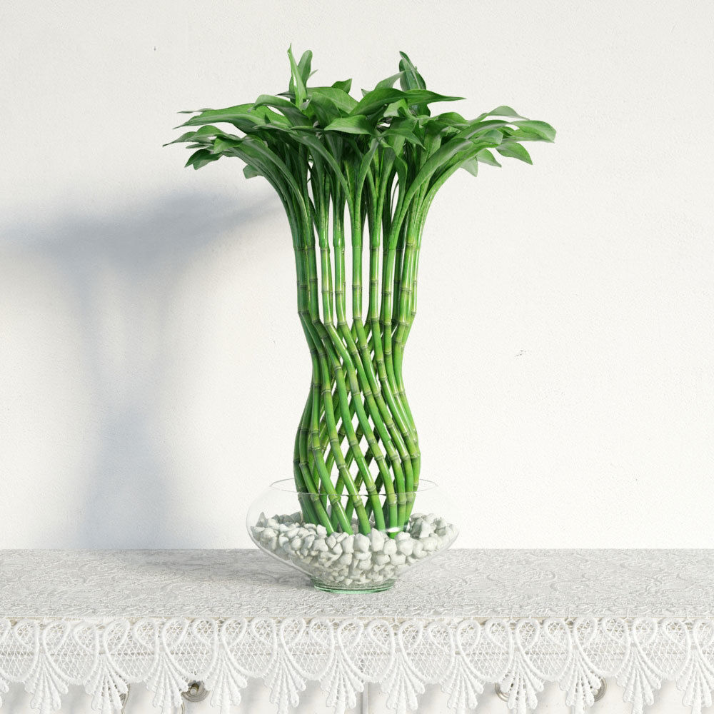 Archmodels vol 141 - high quality indoor plants 3D model | CGTrader