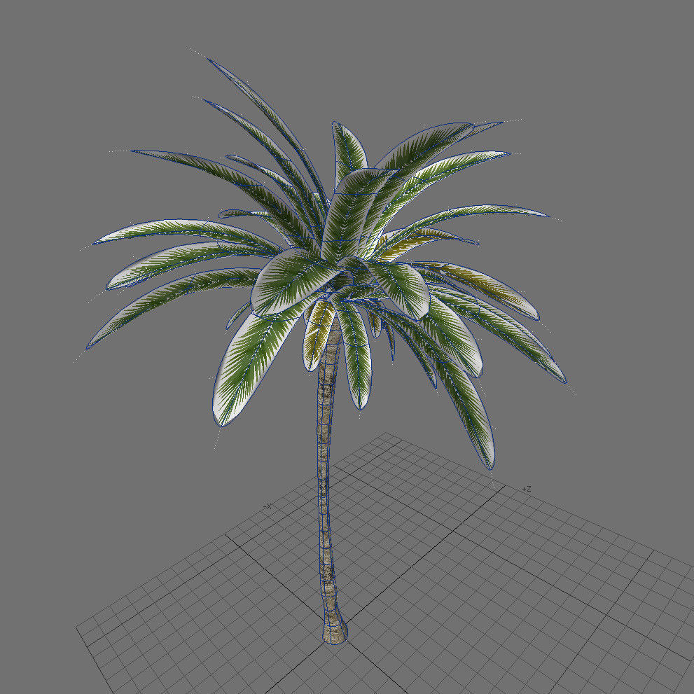 Realistic Palm Tree 3D model | CGTrader