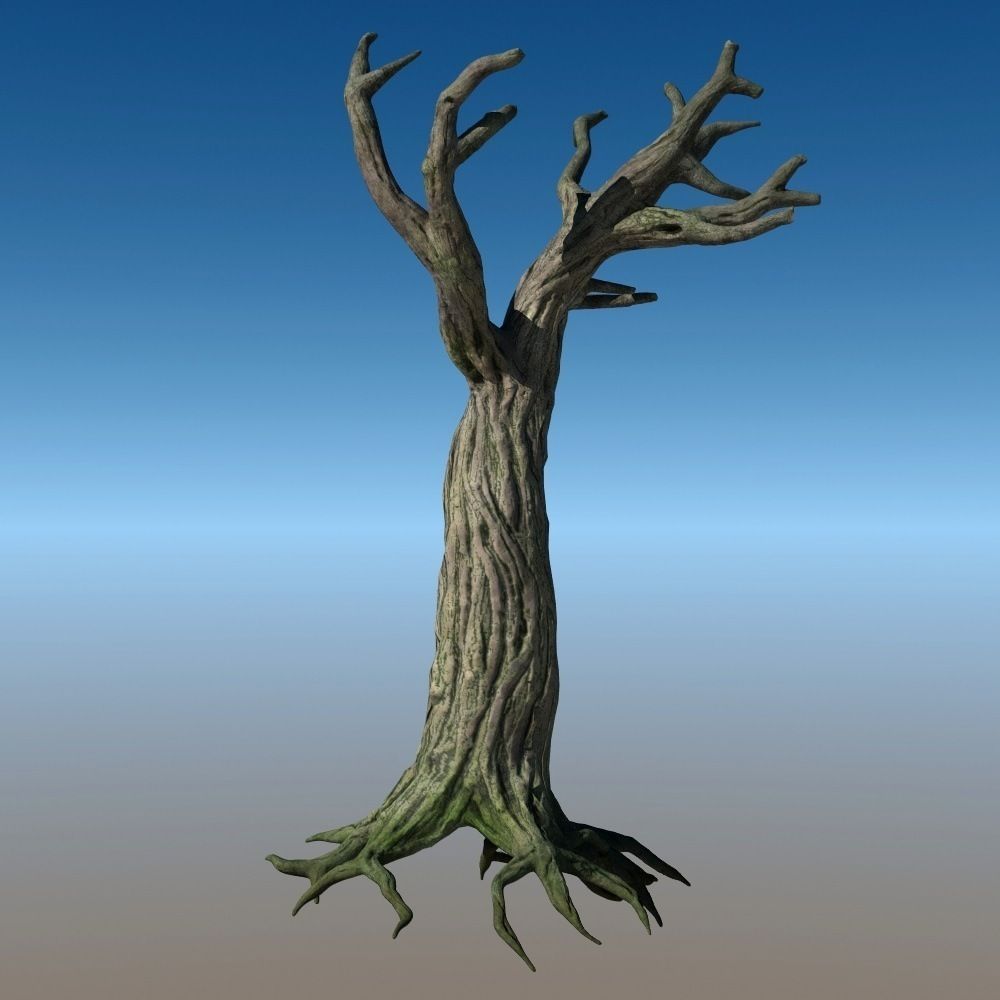 Spooky Tree 3D model | CGTrader