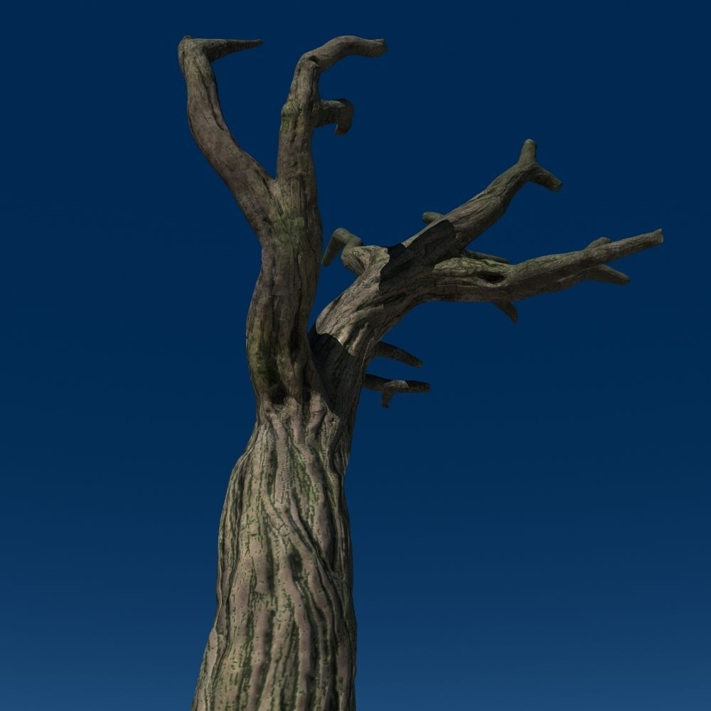 Spooky Tree 3D model | CGTrader