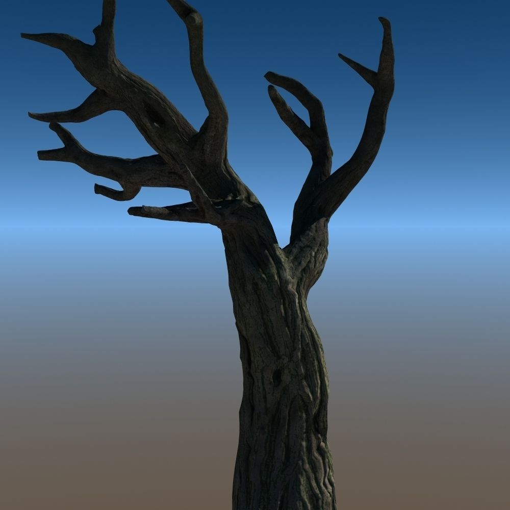 Spooky Tree 3D model | CGTrader