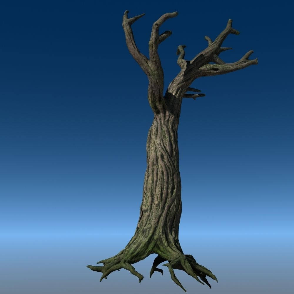 Spooky Tree 3D model | CGTrader