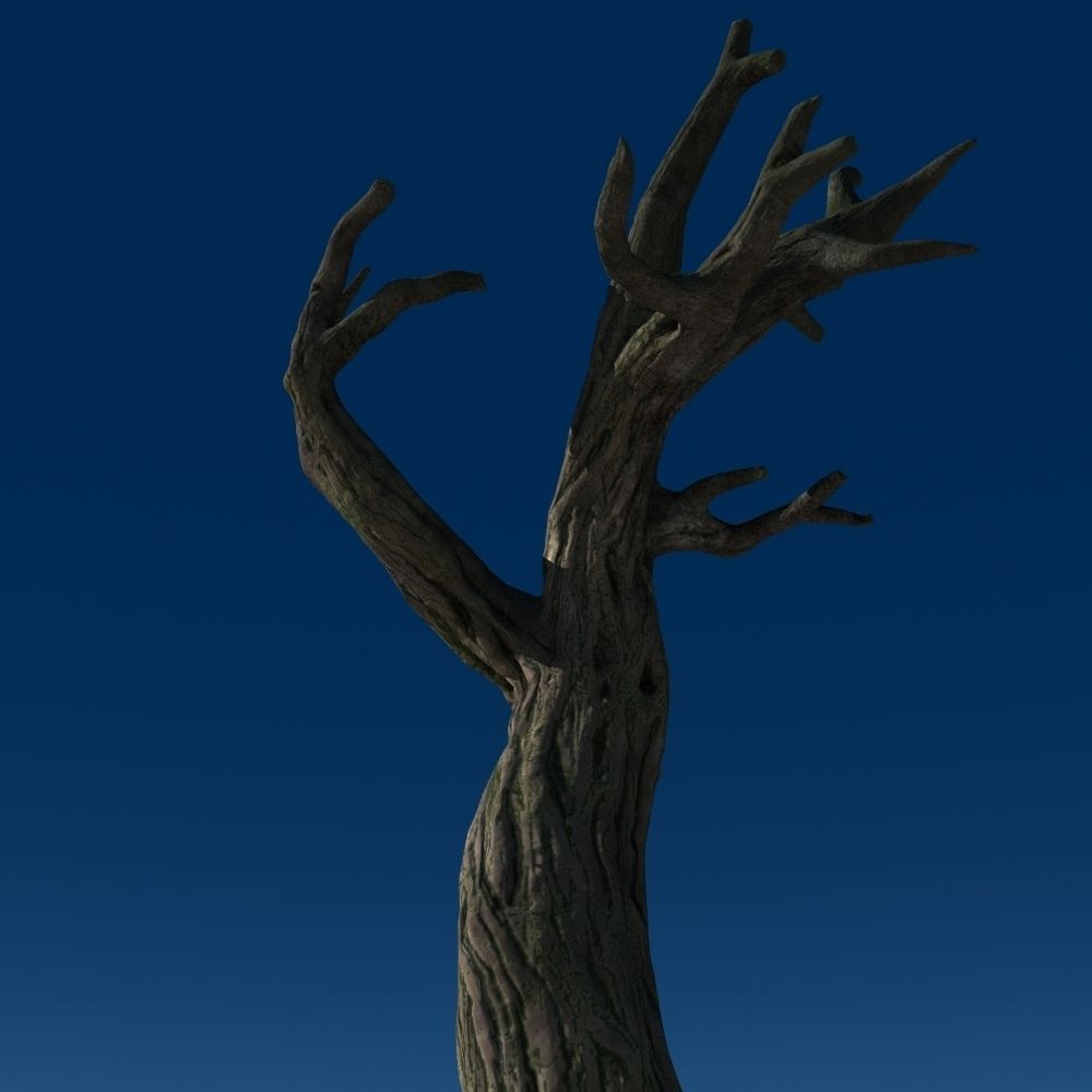 Spooky Tree 3D model | CGTrader