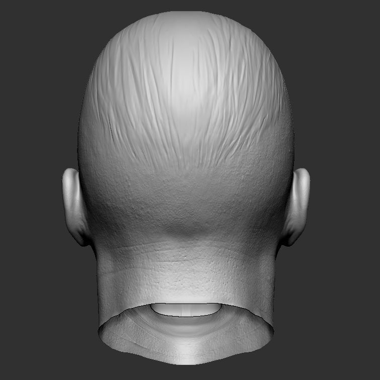 Male Head Base Mesh 3D model | CGTrader