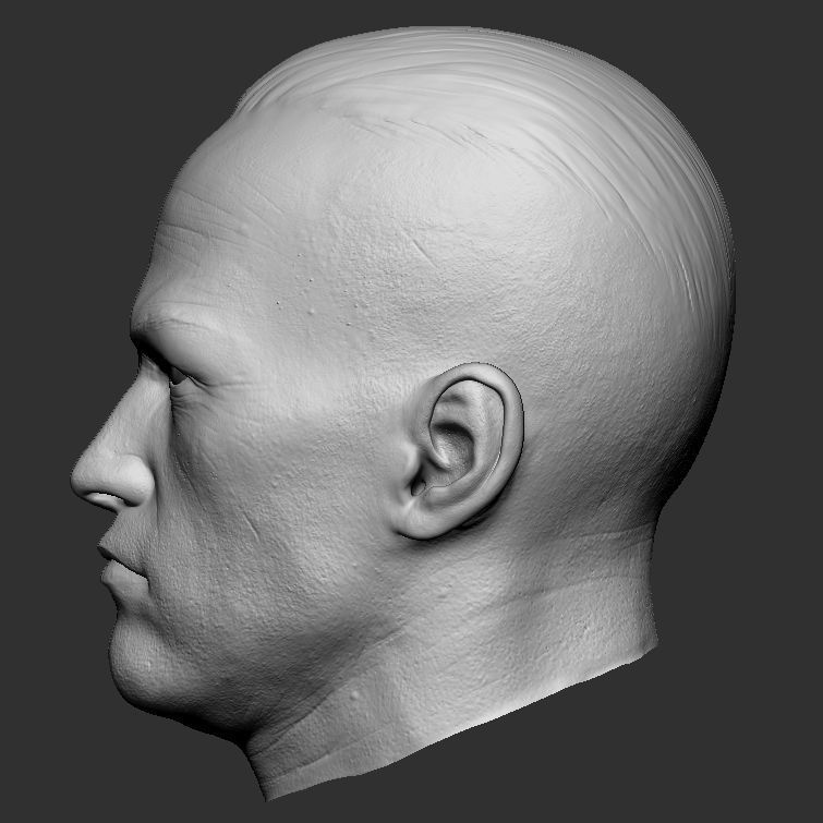 Male Head Base Mesh 3D model | CGTrader