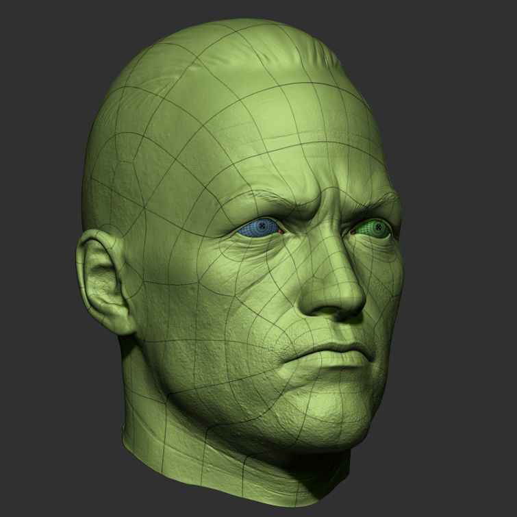 Male Head Base Mesh 3D model | CGTrader