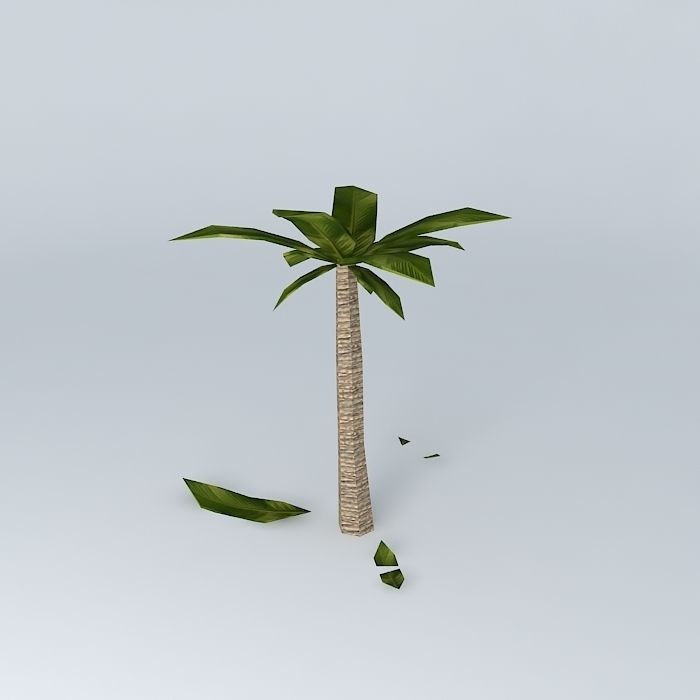 palm tree free 3D model | CGTrader