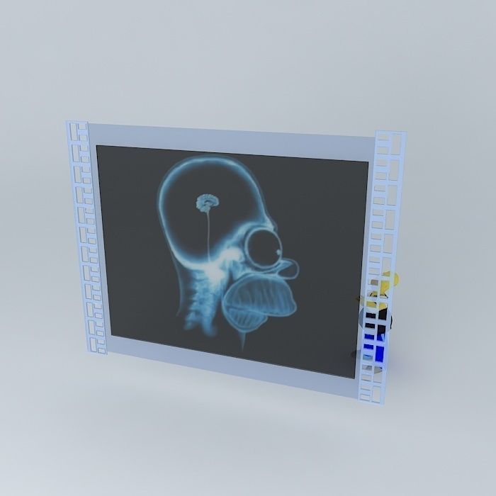Homer Simpson xRay 3D model | CGTrader