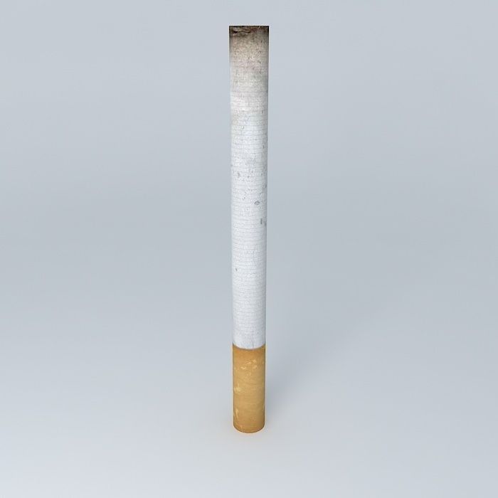 Cigarette Lit 3D model | CGTrader