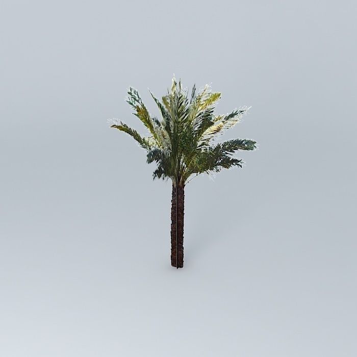 Date Palm Tree free 3D model | CGTrader