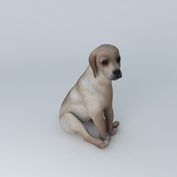 3d Pictures Of Dogs