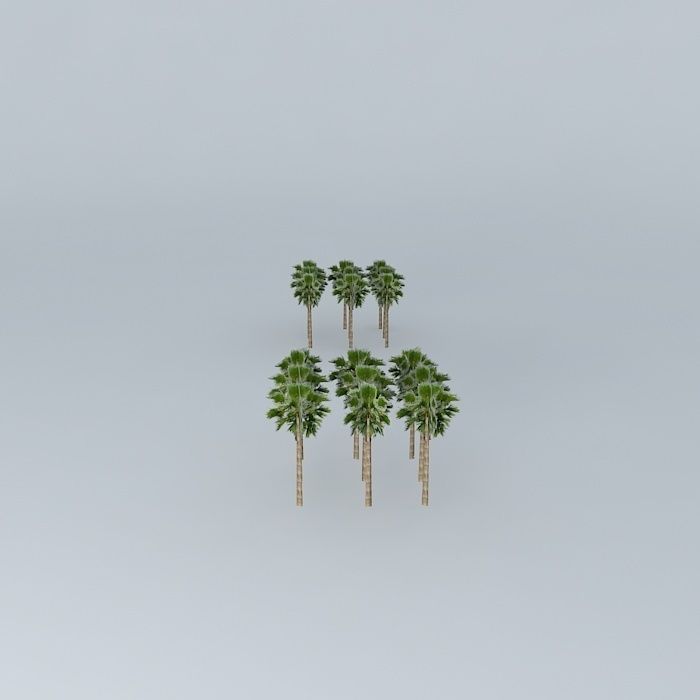 Brisbane Suncorp Stadium Palm Trees entrance free 3D model | CGTrader