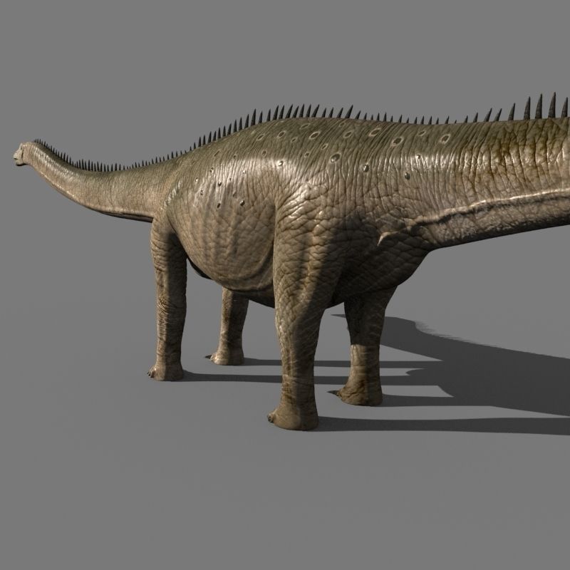 Real Life Diplodocus Dinosaur - Animated 3... 3D Model animated rigged ...