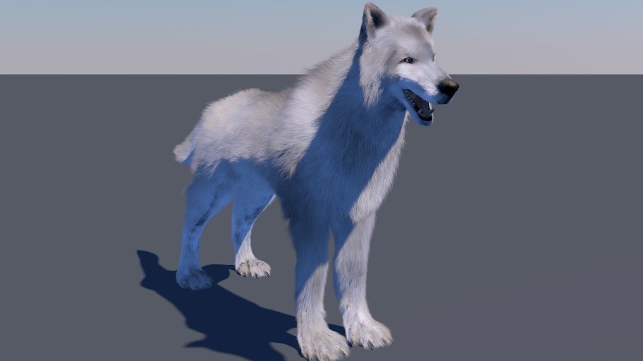 3D model White wolf FUR RIGGED VR / AR / low-poly rigged | CGTrader