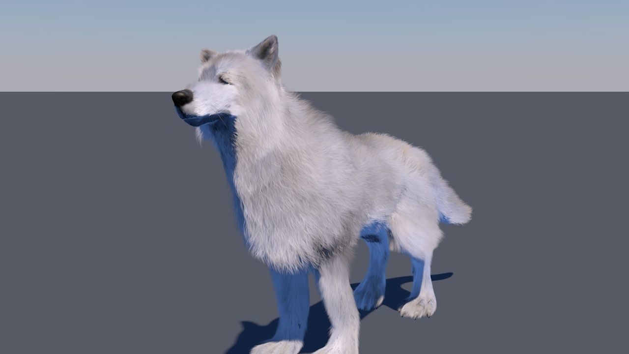 3D model White wolf FUR RIGGED VR / AR / low-poly rigged | CGTrader