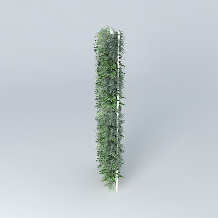 Vertical vegetation Garden free 3D model | CGTrader
