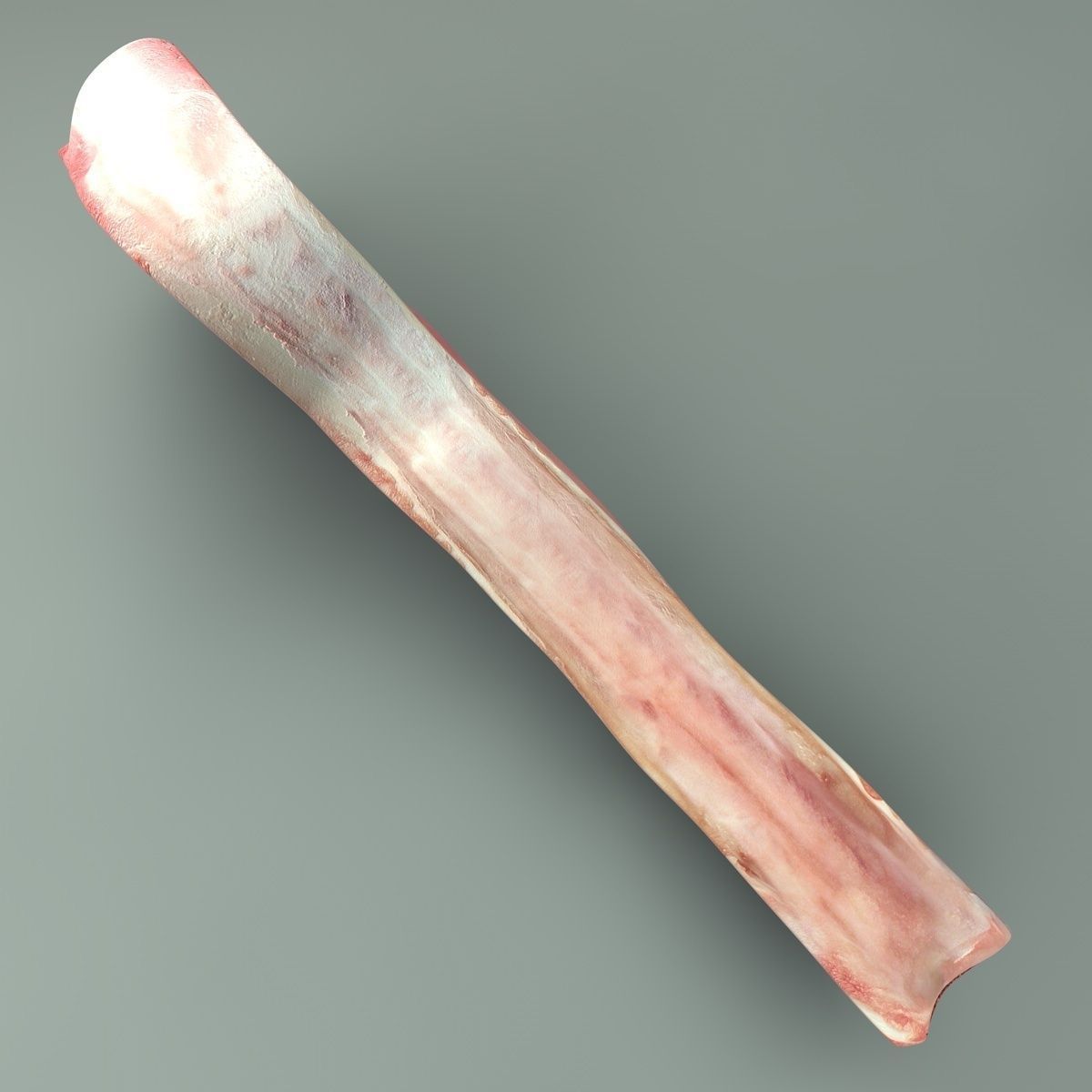 Beef Steak 3D model | CGTrader