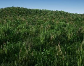 Low-poly Grass 3D Models | CGTrader