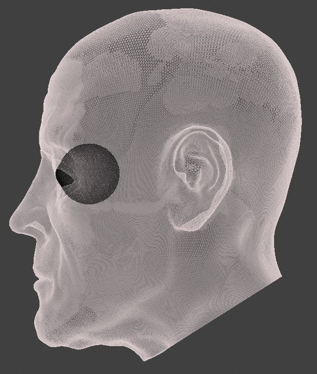 Male Human Head free 3D model | CGTrader