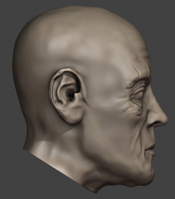 Male Human Head free 3D model | CGTrader