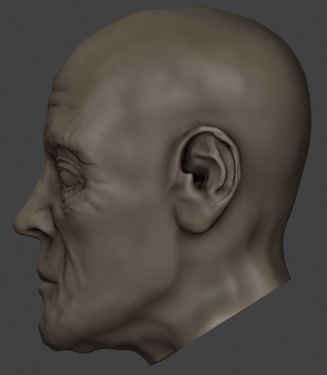 Male Human Head free 3D model | CGTrader