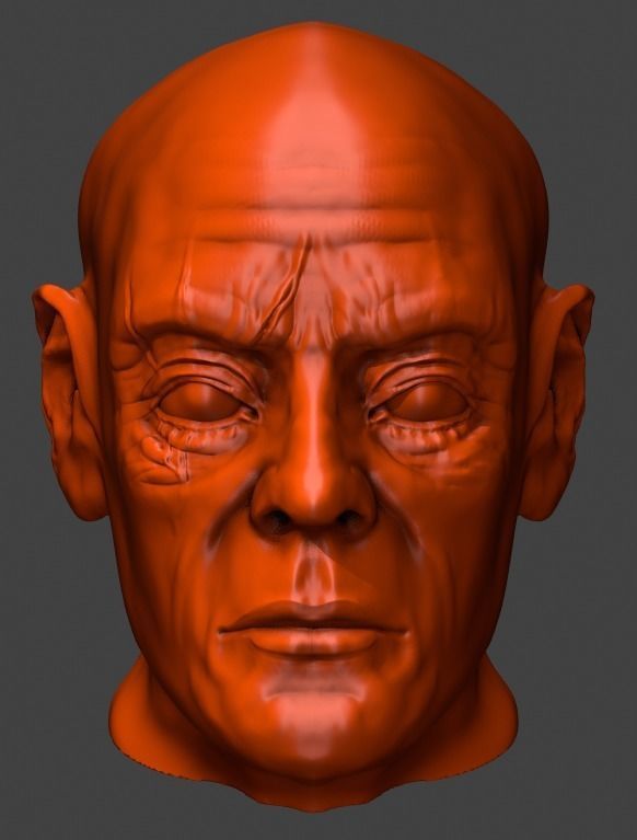 Male Human Head free 3D model | CGTrader