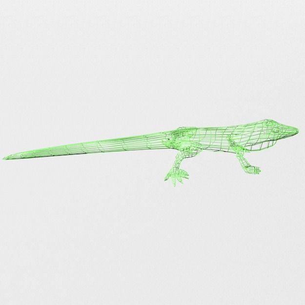 3D model Anole Lizard - Carolina anole VR / AR / low-poly | CGTrader