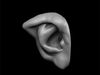 ears 3D model with high poly and low poly 3D model | CGTrader