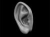 ears 3D model with high poly and low poly 3D model | CGTrader