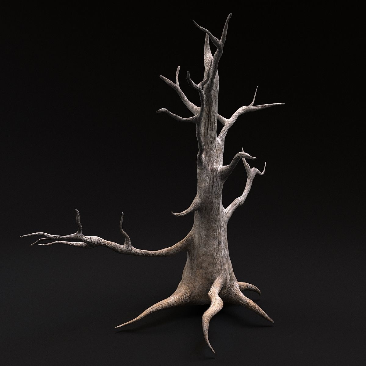 Desert tree 3D model | CGTrader
