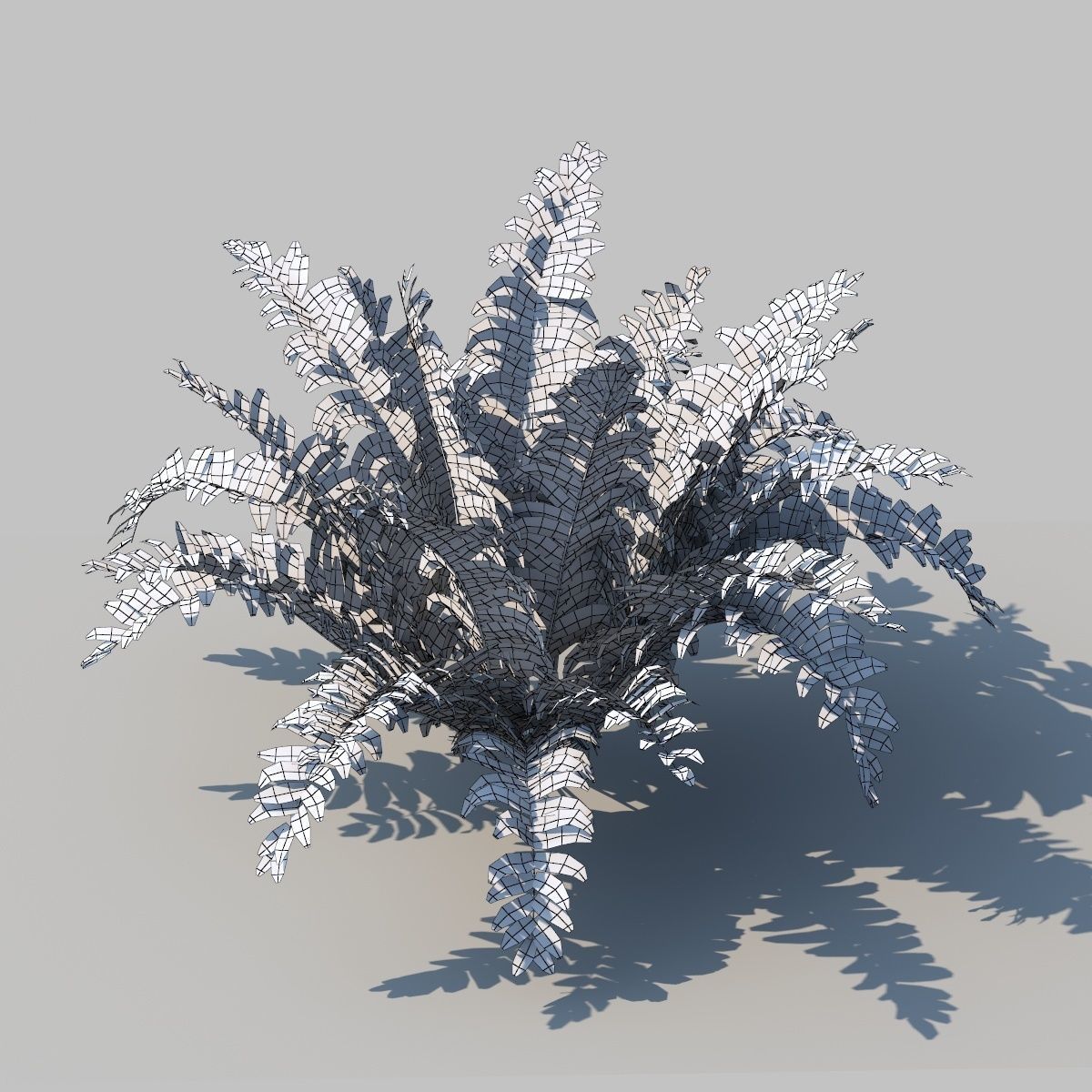 Boston Fern With Animation 3D model animated | CGTrader